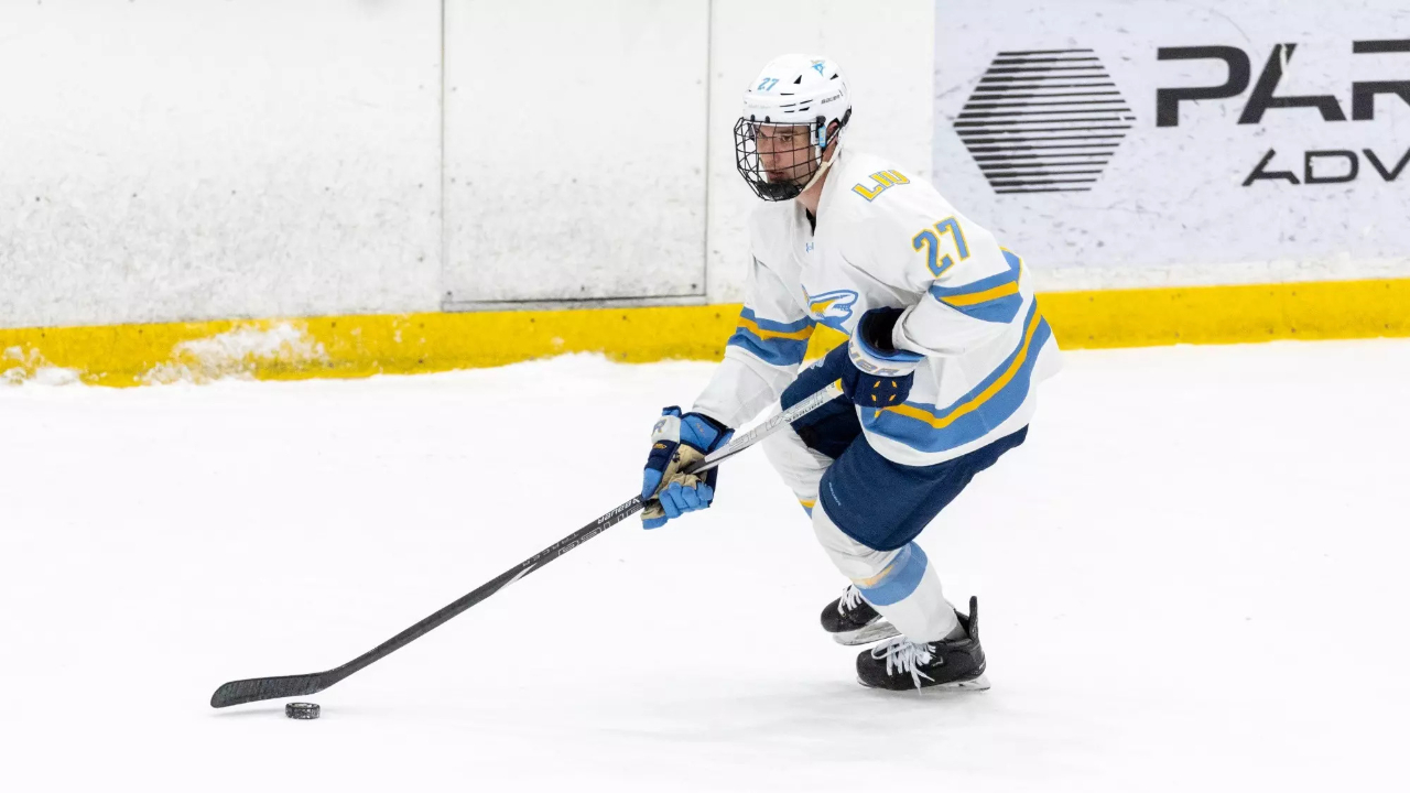 Andrius Kulbis-Marino s'engage avec les Brûleurs de Loups : un renfort ...